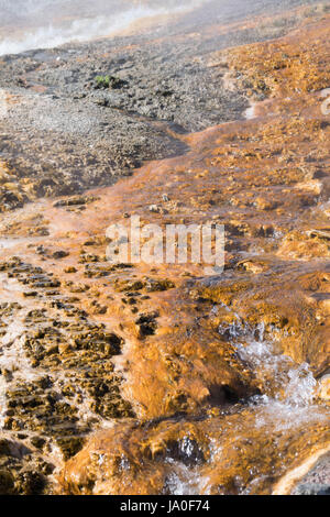 From hot springs located at Yellowstone National Park Stock Photo - Alamy
