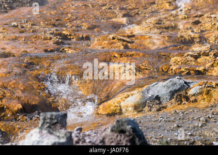 From hot springs located at Yellowstone National Park Stock Photo - Alamy