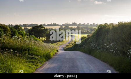 A country lane runs through the agricultural landscape of the Blackmore ...