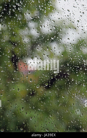 sad, raindrop, mourning, sorrow, depression, depressively, active ...