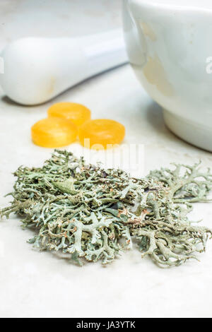 material, drug, anaesthetic, addictive drug, vegetable, chinese ...