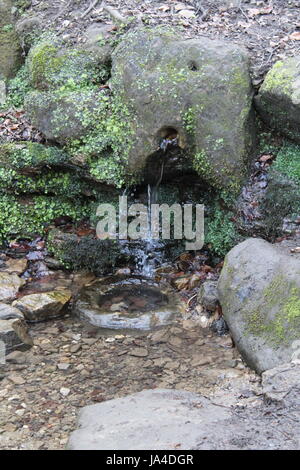 Roundhay Park Gorge Stock Photo - Alamy