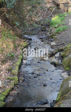 Roundhay Park Gorge Stock Photo - Alamy