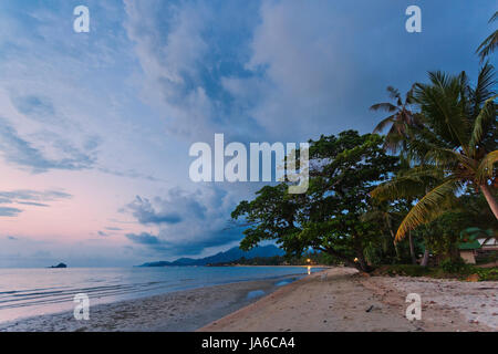 Tropical beach in ebb time on sunset background Stock Photo - Alamy