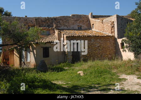 ruin, palm tree, collapse, scenery, countryside, nature, ruin, palm ...