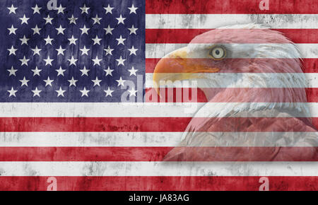 social, political, american, bird, statue, animals, usa, vintage ...