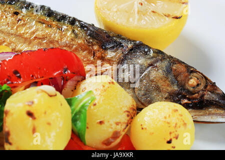 food, aliment, pepper, detail, angle, fish, plate, vegetable, onion ...