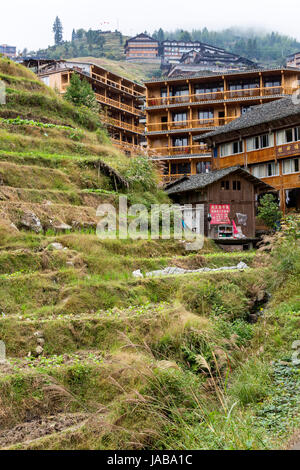 Rice terraces on the steep hillside below the Himalayan foothill ...