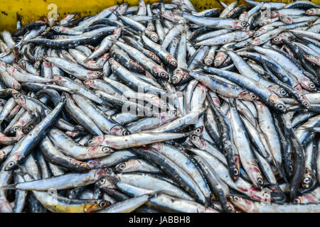 Fishes on a fish market, Georgia, Europe Stock Photo - Alamy