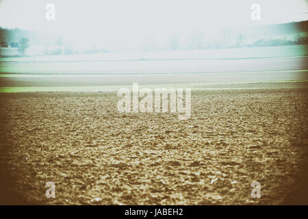 two rabbits - mating Stock Photo - Alamy