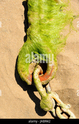 Shackle with mooring line in the harbour Stock Photo - Alamy