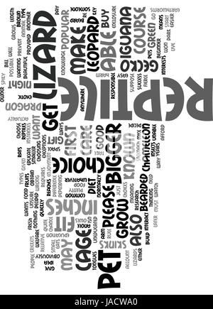 Types of lizards Stock Photo: 211459358 - Alamy