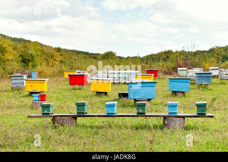 apiary at clearing in caucasus mountain Stock Photo - Alamy