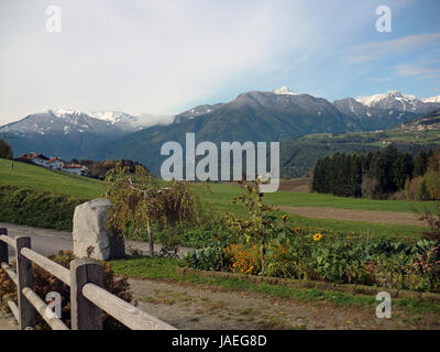 impressions from south tyrol during the summer Stock Photo - Alamy
