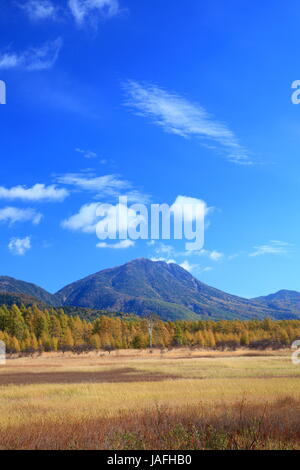 Odashiro plateau of autumn in Nikko, Tochigi, Japan Stock Photo - Alamy