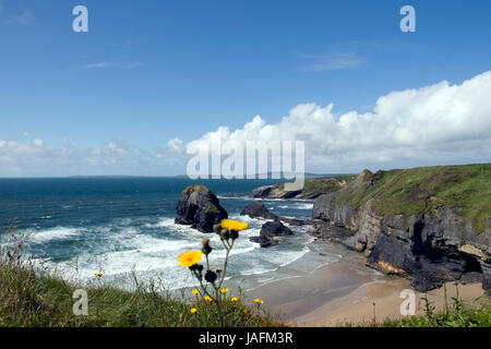a view of the virgin rock in ballybunion ireland as seen from the ...