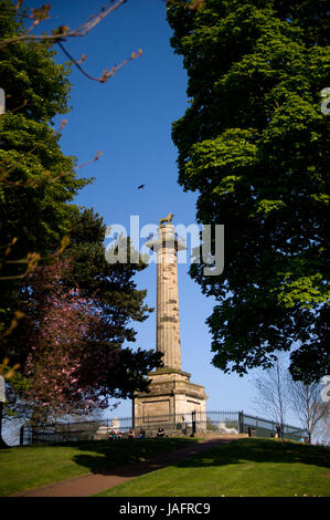 The Lion statues of the Tenantry Column at Alnwick, Northumberland ...