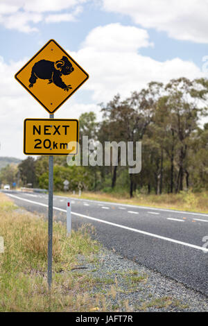 Yellow warning sign for koalas crossing the road, Australia Stock Photo ...