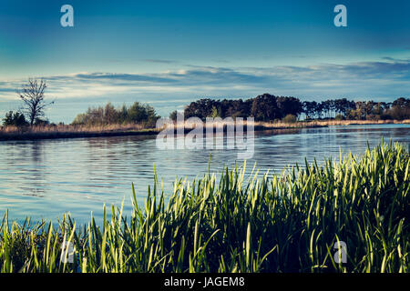 Landscape on the river Nogat, spring, Poland. Toned image Stock Photo ...