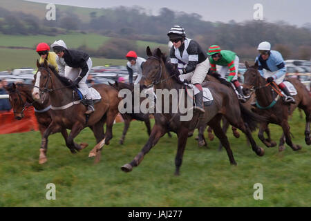 Quantock Staghounds Hunt Stock Photo: 105865416 - Alamy