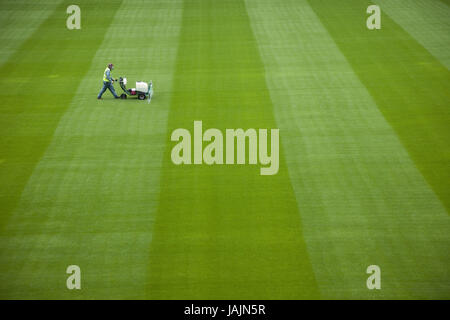 Ireland,Dublin,Aviva stadium,groundsman,turf care Stock Photo - Alamy