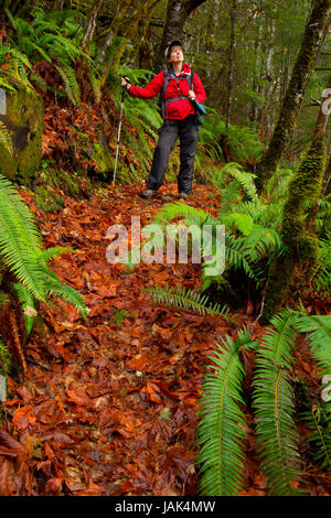 Spruce Run Creek Trail, Clatsop State Forest, Oregon Stock Photo - Alamy