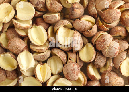 Fox nuts, traditional chinese medicine Stock Photo - Alamy