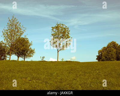 Vintage look Primrose Hill park in London England UK Stock Photo - Alamy