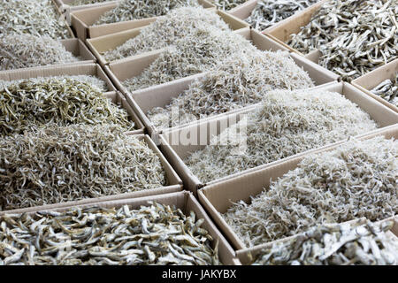 Dried assorted anchovy fish Stock Photo - Alamy