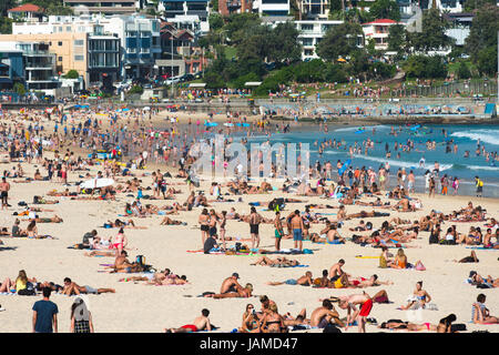 A crowded Bondi beach on a summer's day. Sydney, NSW. Australia Stock ...