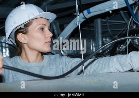 Woman holding cables overhead in roofspace Stock Photo - Alamy