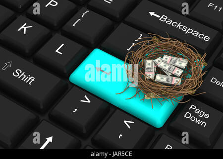 Dollar protected in nest with enter key Stock Photo - Alamy