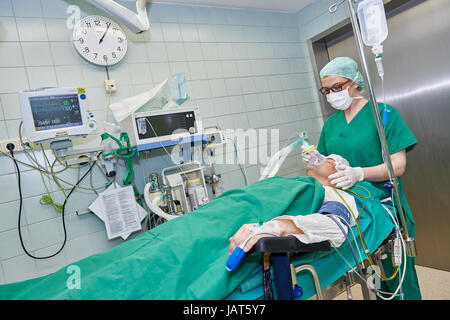 anesthetist anesthetize patient before operation Stock Photo - Alamy
