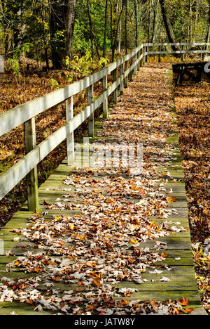 Leaf Covered Boardwalk in the Fall on the Presque Isle Riverin the ...