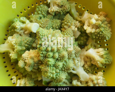 Romanesco aka Romanesque cauliflower or Romanesco broccoli - edible ...