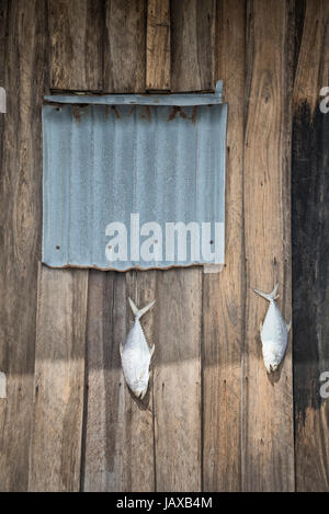 Fish drying outside fisherman old wooden house in koh rong cambodia ...