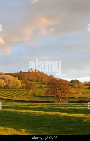 Ancient ridge and furrow field patterns, Warwickshire, England Stock ...
