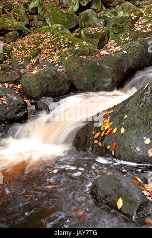 Small waterfall long exposure Padley Gorge, Peak District National Park ...