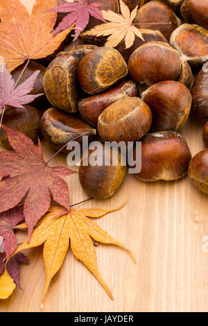 Chestnut and dry maple leave Stock Photo - Alamy