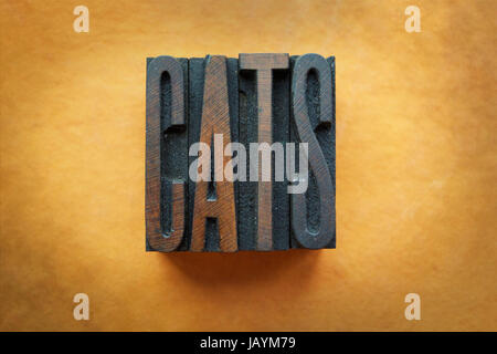 The word "CAT" written in vintage ink stained letterpress type Stock ...