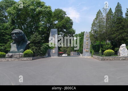 'Peking Man' Zhoukoudian (Choukoutien) Homo erectus Skull Stock Photo ...