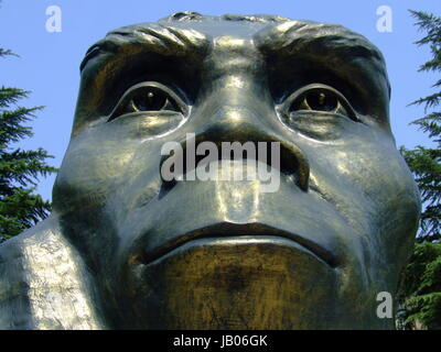 'Peking Man' Zhoukoudian (Choukoutien) Homo erectus Skull Stock Photo ...