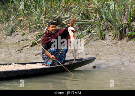 A fisherman shows his catches on the Chitra River. Narail, Bangladesh ...