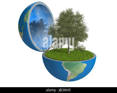 Planetree growing inside opened planet Earth, isolated on white ...