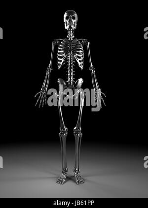 3d rendered illustration - metal skeleton Stock Photo - Alamy