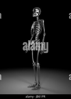 3d rendered illustration of a metal skeleton Stock Photo - Alamy