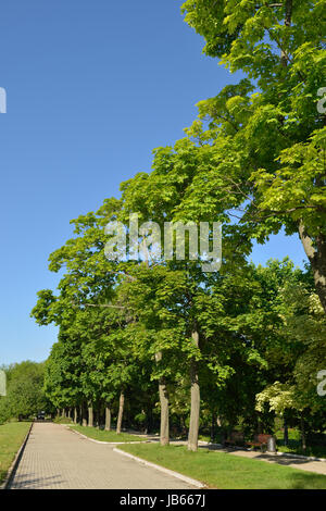 Alley of Novodevichy Park in Moscow, Russia Stock Photo - Alamy