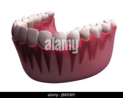 3d rendered illustration - lower teeth Stock Photo - Alamy