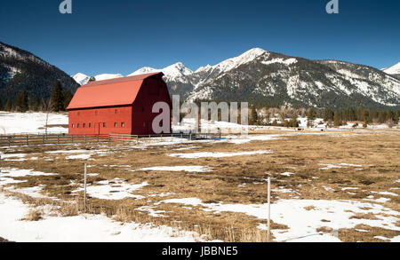 A ranch farm homestead looks cold and bright during winter frost Stock ...
