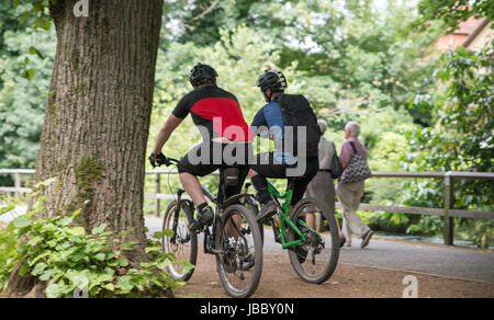 Rear view and close-up of the cyclist riding mountain bike on the ...